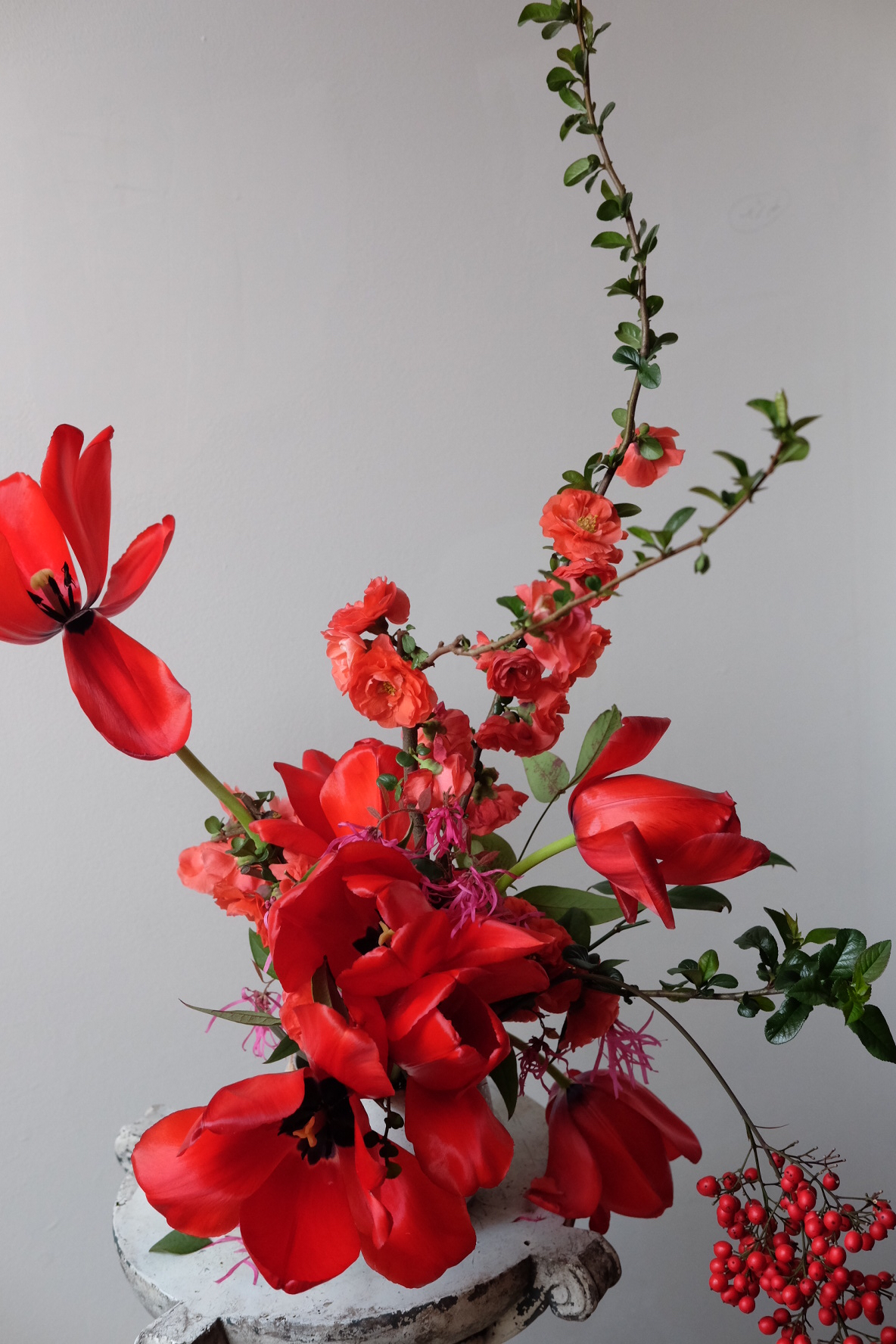 Home – Tint Floral